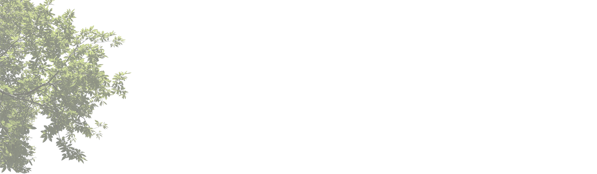 project-rezach-backround2-top — Rezach.bg