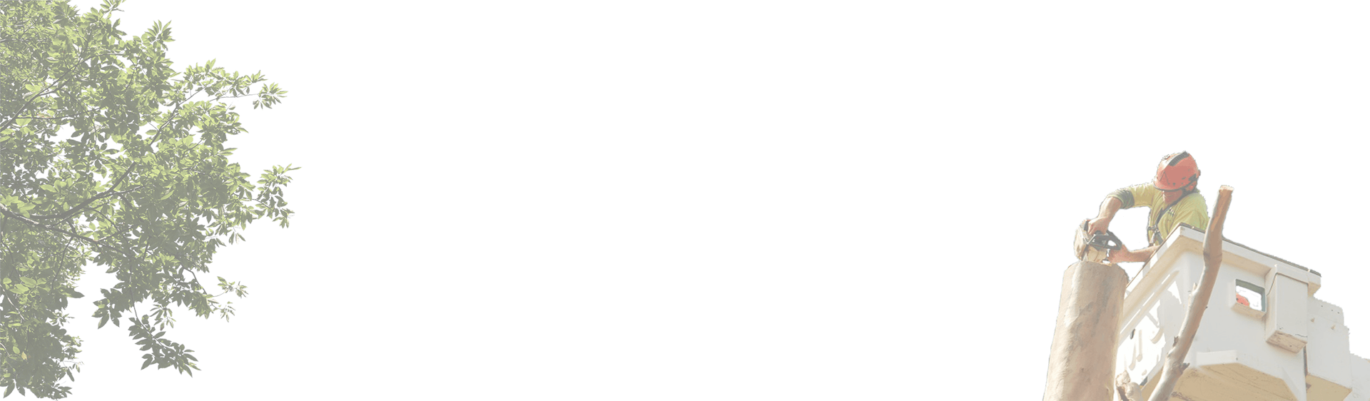 project-rezach-backround2 — Rezach.bg